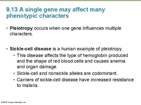 Chapter 9 Patterns Of Inheritance Power Point Lectures