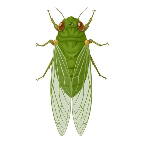 Cicada Noise Vector Art Icons And Graphics For Free Download