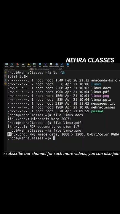 how to check file type in linux 🐧🐧 shorts youtube
