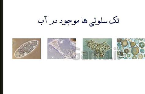 پاورپوینت آموزش درس 10 علوم تجربی ششم دبستان خیلی کوچک، خیلی بزرگ گاما