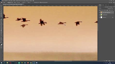 Déplacer Des Objets Dans Photoshop Un Guide Détaillé