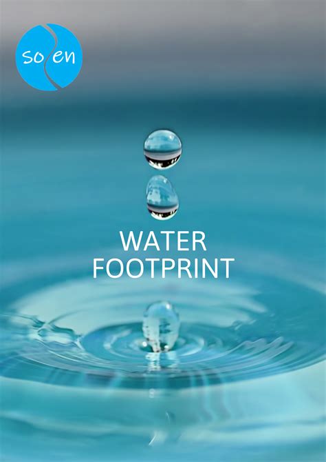 The Relationship Between Water Footprint And Sustainable Development Solen