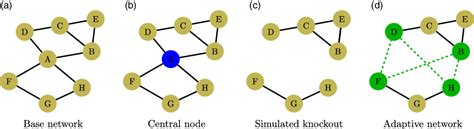 how teams adapt to exogenous shocks experimental evidence with node