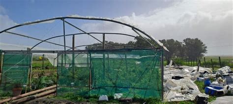 Rising From The Ashes In 2023 Four Bold Farmers Soldier On Food For