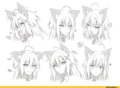 Ушки кошки как нарисовать 81 фото