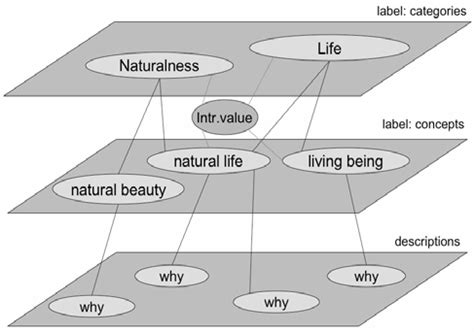 Systematic Coding Model Containing Three Levels Of Analysis Value Download Scientific Diagram