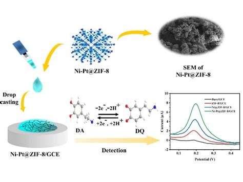 A High‐performance Electrochemical Sensor Based On Ni−pt Bimetallic