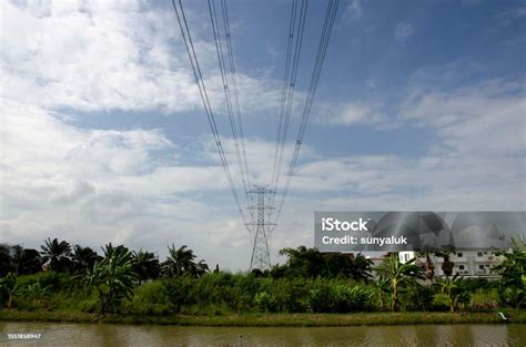 나무와 푸른 하늘을 배경으로 높은 전기 송전선로와 철탑 강력한 스테이션 0명에 대한 스톡 사진 및 기타 이미지 0명 강철