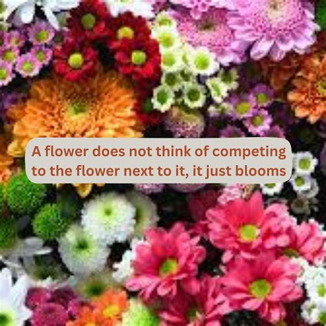 Selflovejourney Growthmindset Selfimprovement Falyn Berkowitz The Passport To Happiness