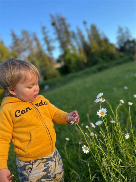anna sabramowicz on linkedin have an amazing sunday spend it doing