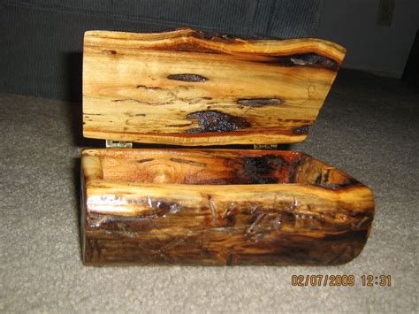 Log Box Tree Branch Crafts Tree Branches Trees Geocaching Power