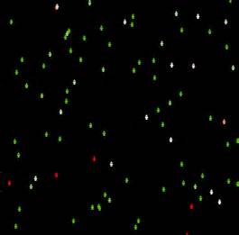 NetLogo User Community Models