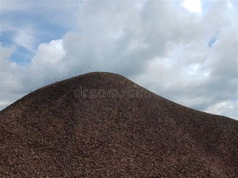 the pile of kernel shells stock image image of rock 276564975