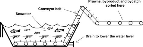 Schematic Diagram Of A Seawater Hopper System Used For Holding Catch Download Scientific