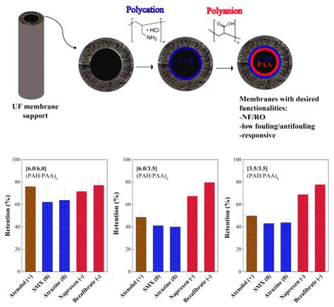 Graphical Representation Of Layer By Layer Lbl Deposition Of Download Scientific Diagram