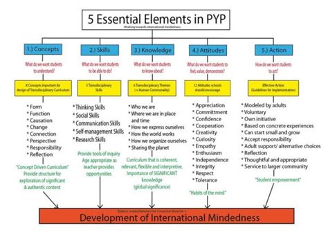 Essential Elements In Pyp My Journey Of Ib Learning