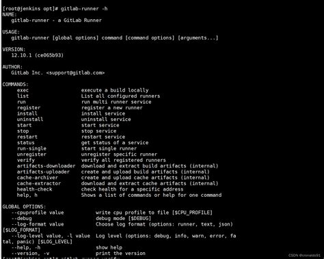 持续集成交付cicd：安装gitlab Runner（从节点） Csdn博客
