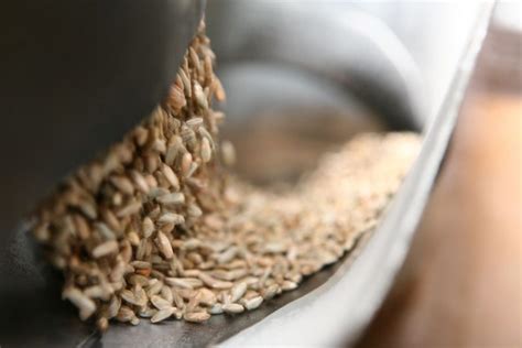 Processing Of Wheat Flour Ihm Notes By Hmhub