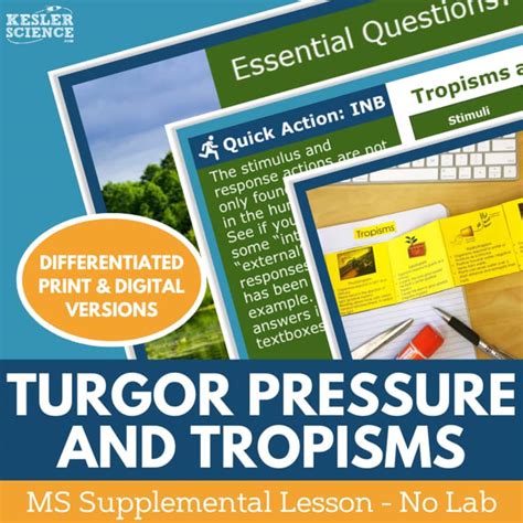 Tropisms And Turgor Pressure Ms 6 8 Supplemental Lesson No Lab