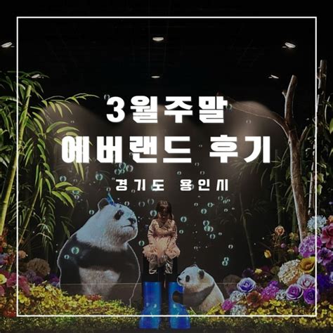 에버랜드 주말 오픈런 후기 스마트줄서기 이용 꿀팁 네이버 블로그