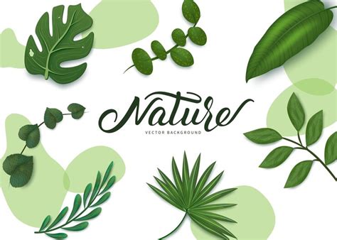 Premium Vector Nature Vector Background Nature Vector Background Text With Leaves Element