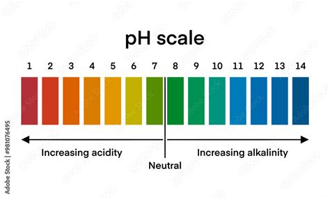 Ph Scale Diagram Ph Scale Graphic Acid To Base Ph Scale Infographic Acid Base Balance Ph Scale Diagram Ph Scale Graphic Acid To Base Ph Scale Infographic Acid Base Balance