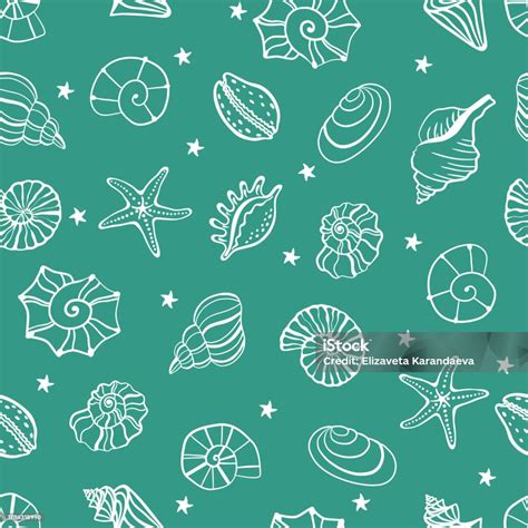 바다 조개껍데기와 바다 별의 완벽 한 벡터 패턴은 손으로 그렸습니다 껍데기에 대한 스톡 벡터 아트 및 기타 이미지 껍데기 낙서 드로잉 다중 색상 Istock