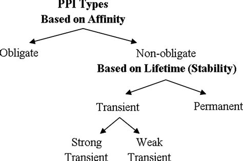 Brief Introduction Of Protein Protein Interaction Ppi Creative