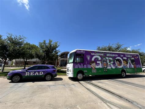 Keep Flower Mound Beautiful Back Yard Before Lend A Hand