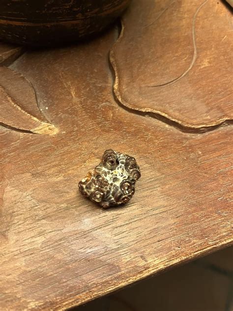 rock found in anguilla r whatsthisrock