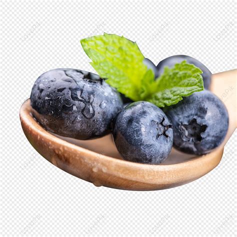 블루 베리 Png 일러스트 무료 다운로드 Lovepik