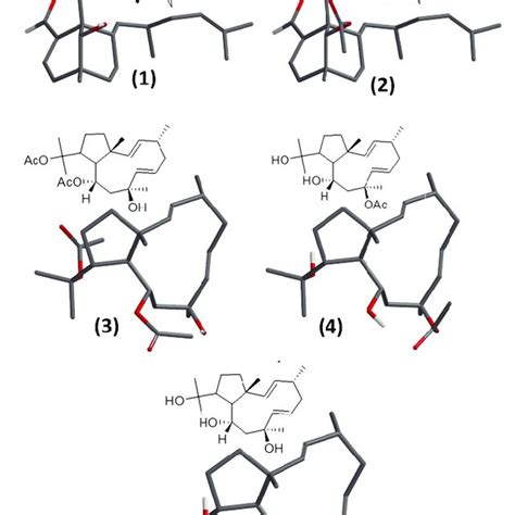 Three Dimensional Structure Of Hiv 1 Reverse Transcriptase The