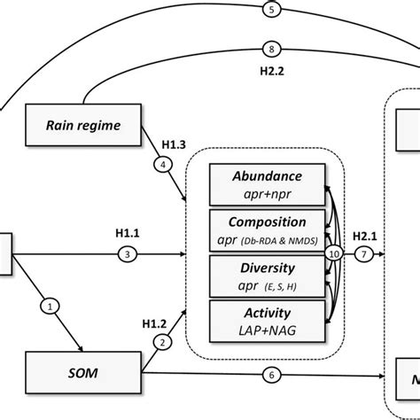 A Priori Models Tested With Structural Equation Modelling Sem Arrows