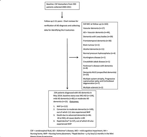 Flowchart Of The Study Population Csf Cerebrospinal Fluid Ad
