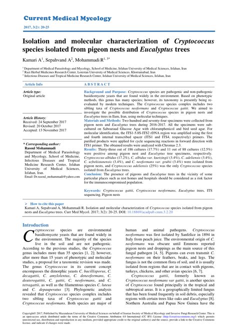 Pdf Isolation And Molecular Characterization Of Cryptococcus Species