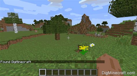 How To Use The Testfor Command In Minecraft