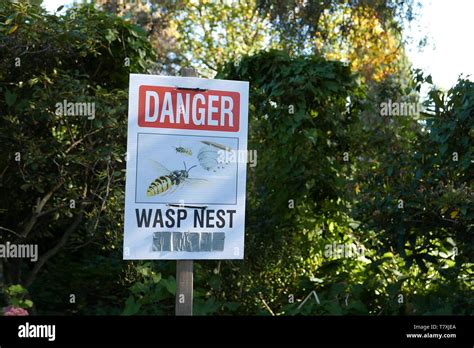 Danger Sign In Front Of Tree Inside Park On Sunny Day Stock Photo Alamy