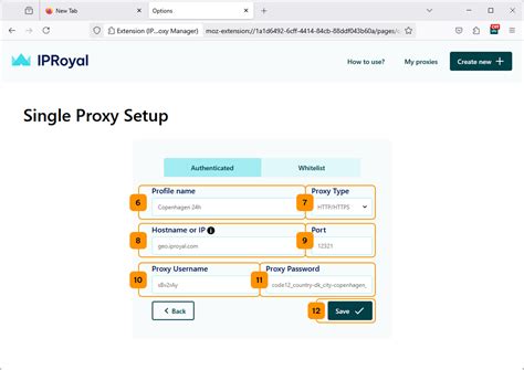 Mozilla Firefox Proxy Add On Quick Start Guide