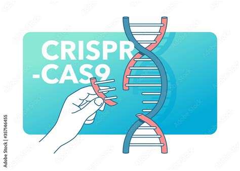 Crispr Cas9 Gene Editing System Dna Spiral With Cutting Fragment