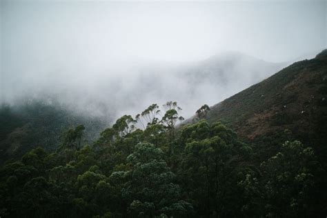 Caroline And Marc San Francisco California Jean Laurent Gaudy