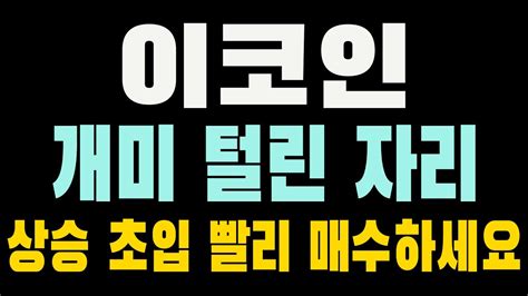 이 코인 개미들이 털린 자리입니다 그로스톨코인 하이파이 폴리매쉬 쿼크체인 엠블 시바이누 비트코인 Youtube