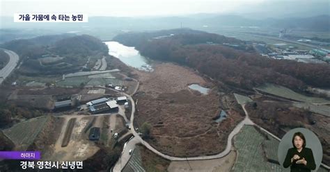 가을 가뭄에 속 타는 마늘 농가