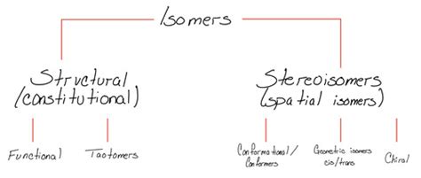 Isomers Quizlet