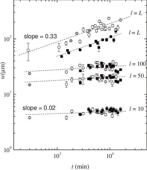 Log W Versus Log T Plots From Overhang Corrected Data From Procedure I Download Scientific