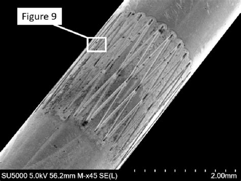 Sem Picture Of The Structure Manufactured At Orthogonal Processing