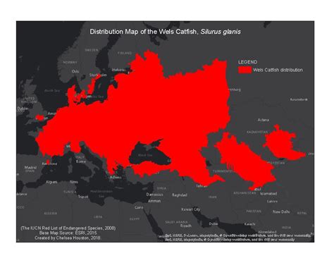 Alt History What If Axis Won Ww2 R Mapporncirclejerk