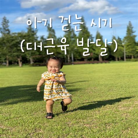 아기 걷는시기 걸음마 시기 W 대근육 운동 발달 지표 네이버 블로그
