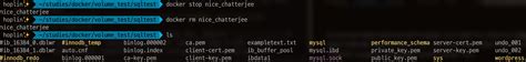Docker Docker Volume