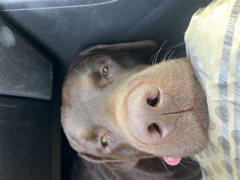 Create A Hotties Ranked Tier List Tiermaker