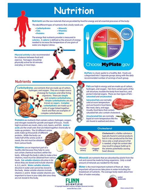 nutrition—newpath visual learning guide set of 10 flinn scientific